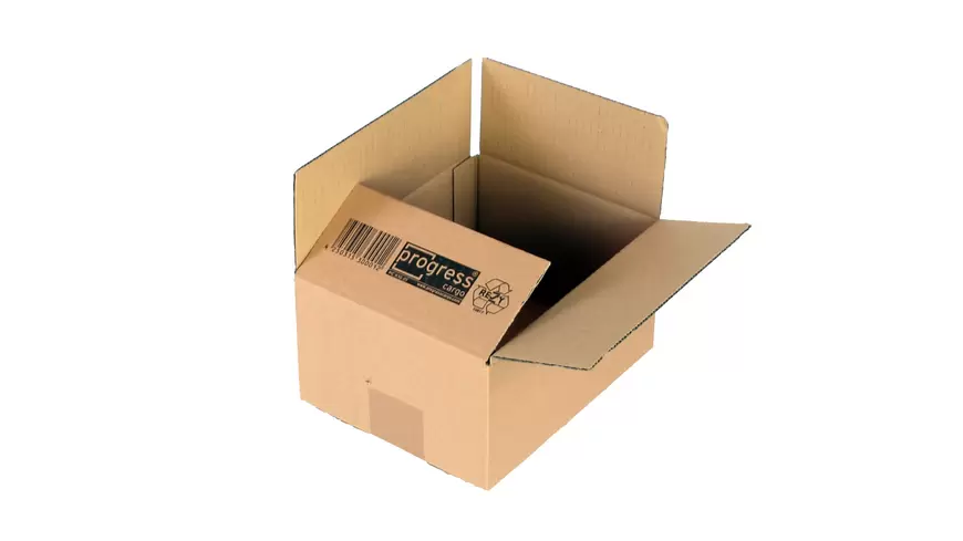 Faltkarton 217 x 172 x 110 mm | FEFCO 0201 | packster.de