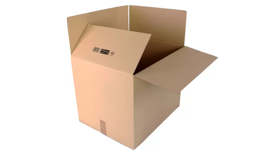 Faltkarton 600 x 480 x 485 mm | FEFCO 0201 | packster.de